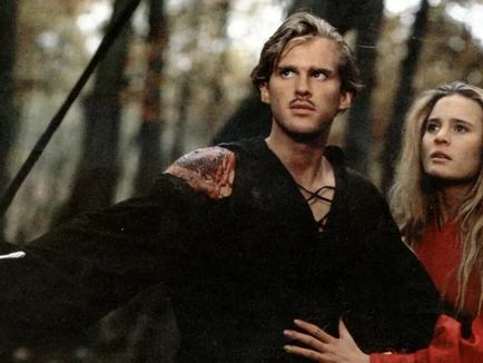 The Princess Bride | Whumpapedia Wiki | Fandom