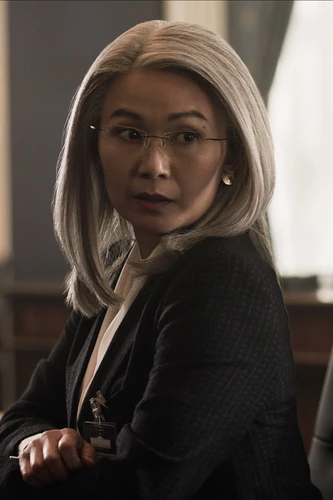 Diane Farr | Whumpapedia Wiki | Fandom