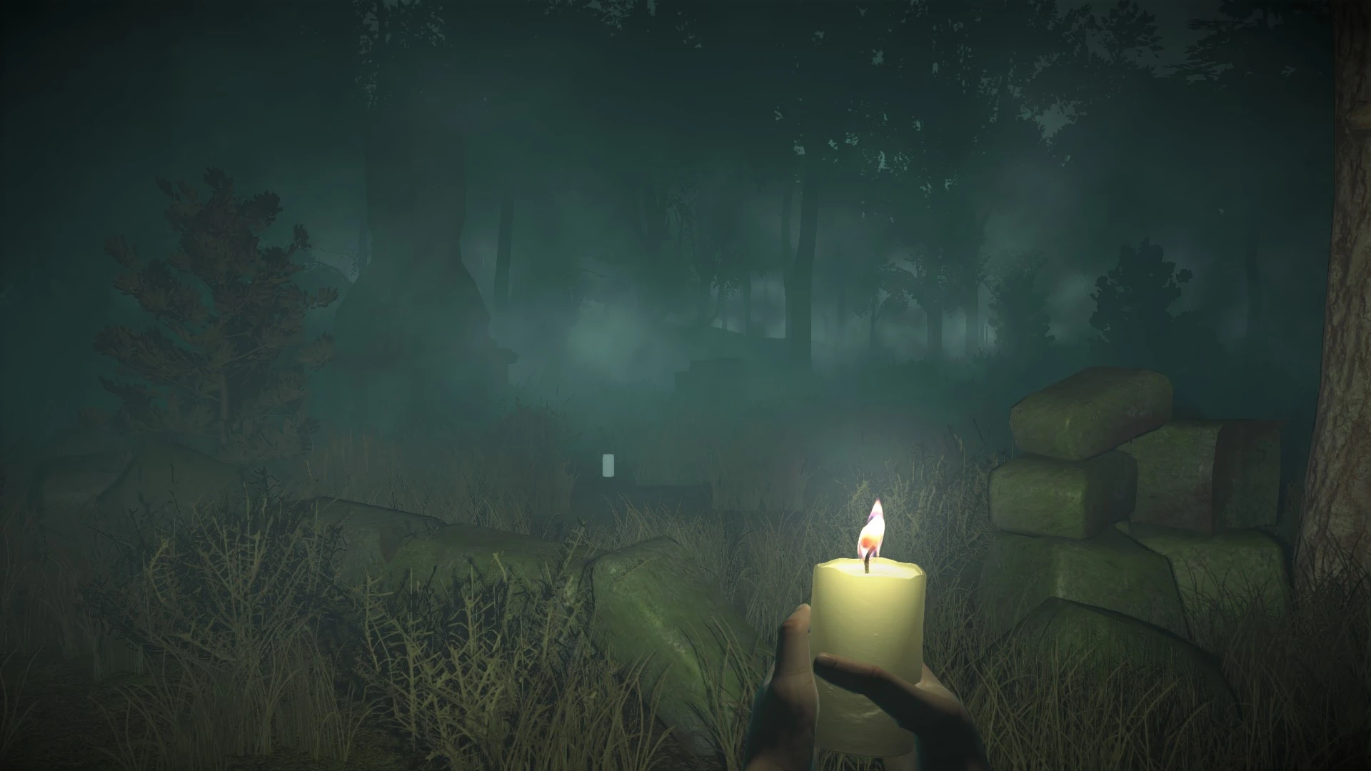 Discuss Everything About Wick Wikia | Fandom