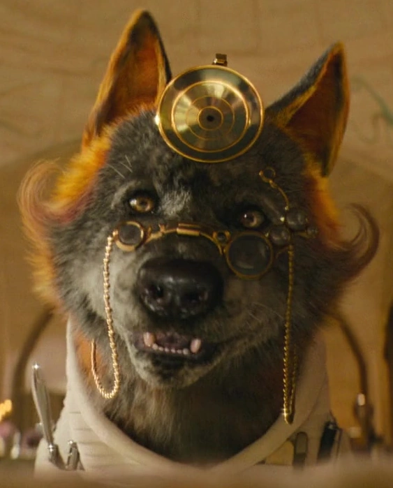 Wolf Doctor | Wicked Wiki | Fandom