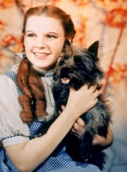 Dorothy Gale | Wiki Wicked | Fandom