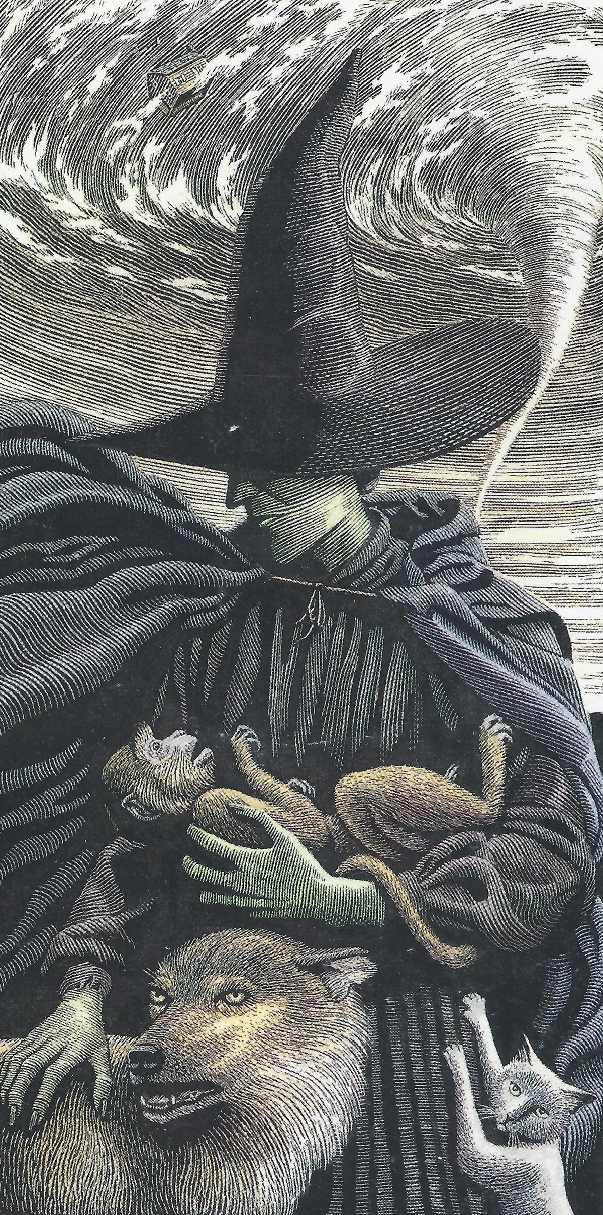 Elphaba Thropp | Wicked Wiki | Fandom
