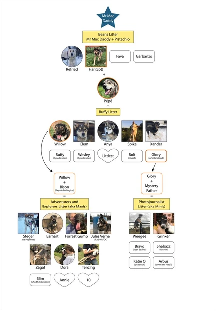 Canine Family Tree Chart