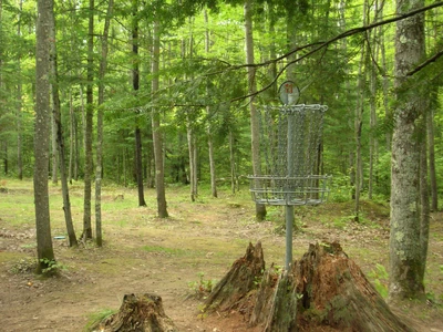 Northwoods Open | Wisconsin Disc Sports Archive Wiki | Fandom