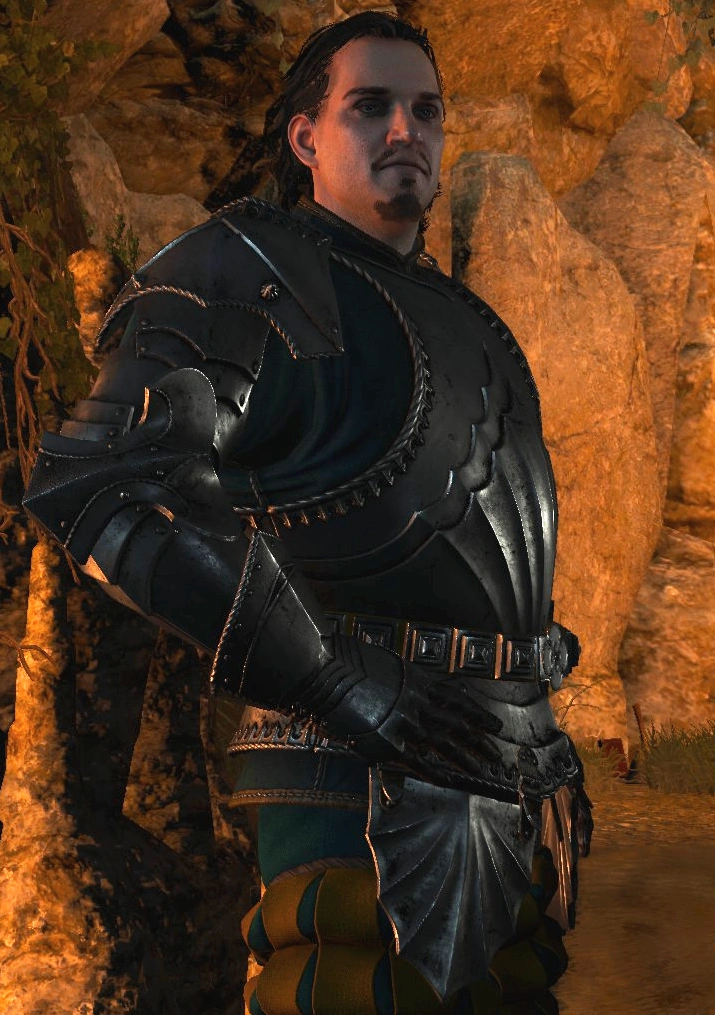 François le Goff | Wiedźmin Wiki | Fandom