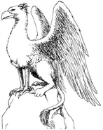 Gryf | Wiedźmin Wiki | Fandom