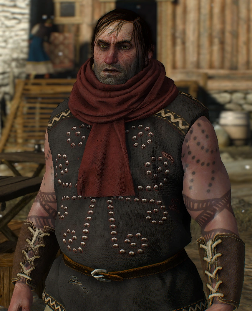 Płatnerz (Kaer Muire) | Wiedźmin Wiki | Fandom