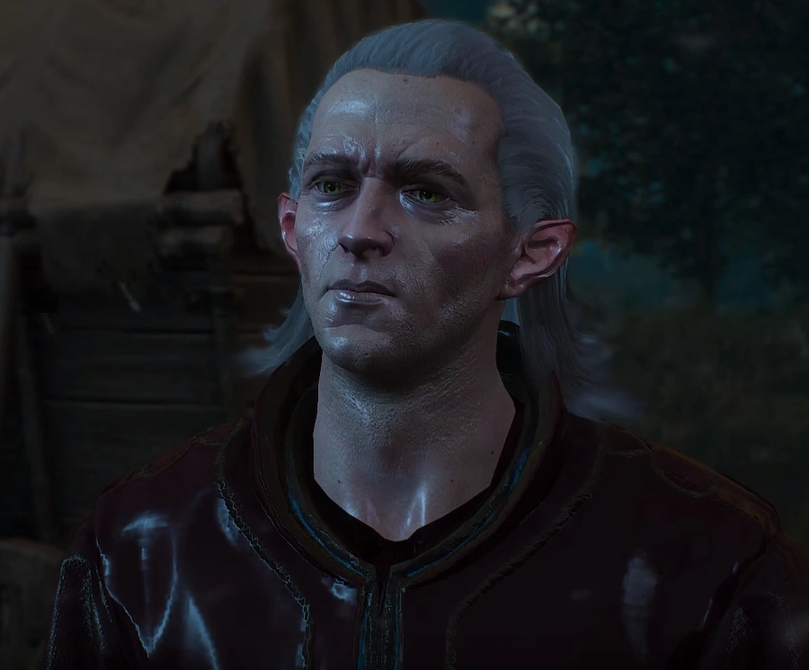 Faelar | Wiedźmin Wiki | Fandom