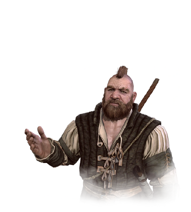 Zoltan Chivay | Wiedźmin Wiki | Fandom