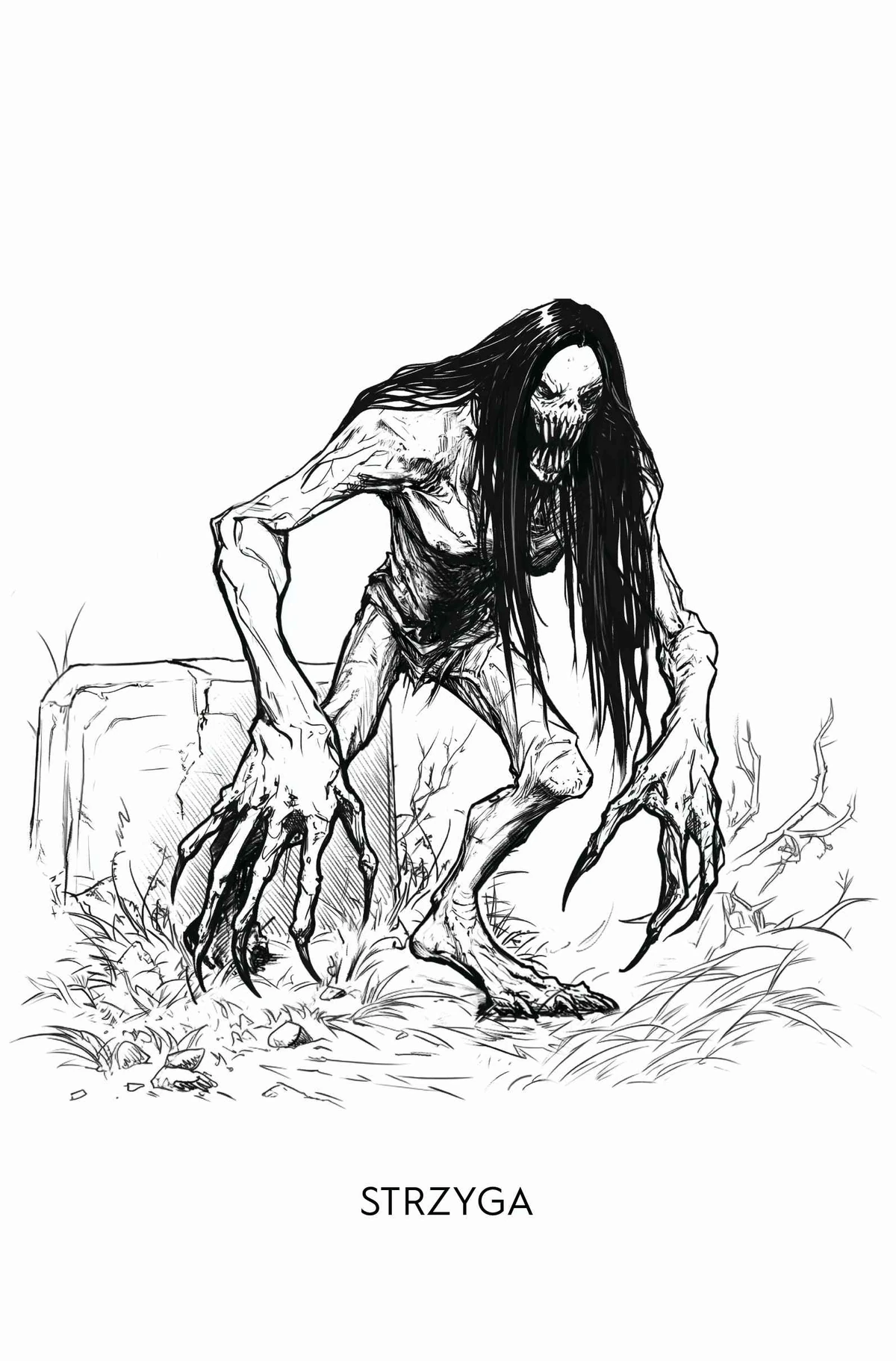 Strzyga | Wiedźmin Wiki | Fandom