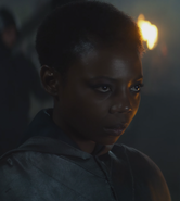 Fringilla Vigo | Wiedźmin Wiki | Fandom