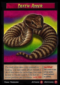 how to draw a death adder snake