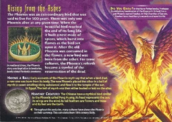 Phoenix | Weird n' Wild Creatures Wiki | Fandom