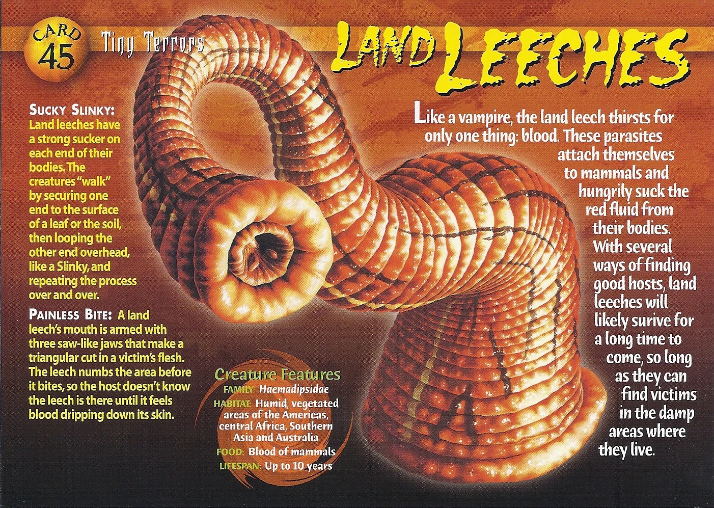 Giant Red Leech Mouth