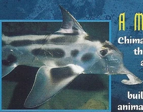 Chimaeras | Weird n' Wild Creatures Wiki | Fandom