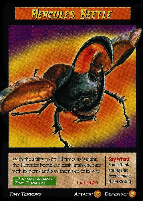 Hercules Beetle | Weird n' Wild Creatures Wiki | Fandom