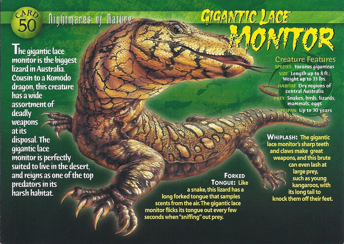 Gigantic Lace Monitor | Weird n' Wild Creatures Wiki | Fandom