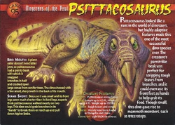 Psittacosaurus | Weird n' Wild Creatures Wiki | Fandom