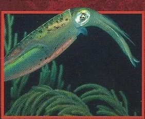 Giant Orthocone | Weird n' Wild Creatures Wiki | Fandom