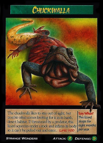 Chuckwalla | Weird n' Wild Creatures Wiki | Fandom