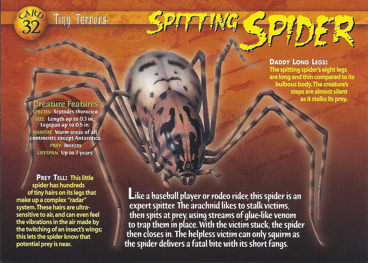 Spitting Spider | Weird n' Wild Creatures Wiki | Fandom