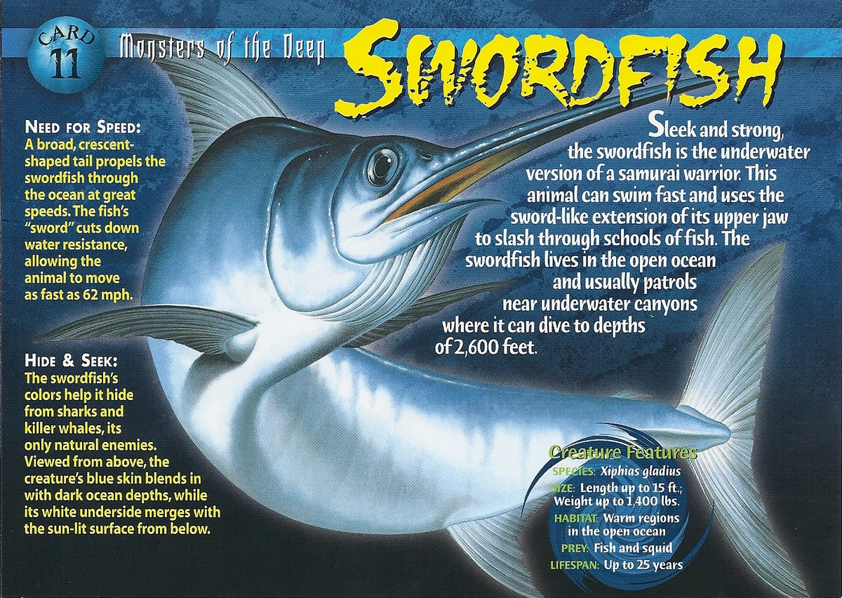 Swordfish | Weird n' Wild Creatures Wiki | Fandom