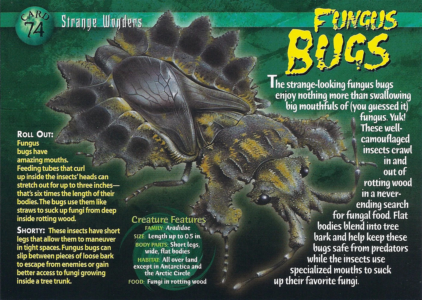 Fungus Bugs | Weird n' Wild Creatures Wiki | Fandom