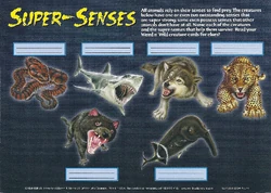 Monster Mania 45 | Weird n' Wild Creatures Wiki | Fandom