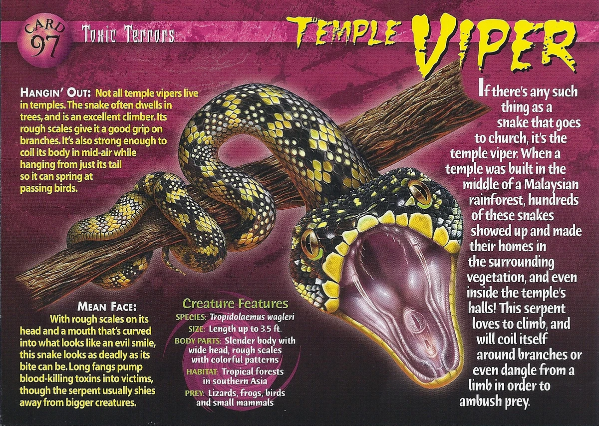 Temple Viper | Weird n' Wild Creatures Wiki | Fandom