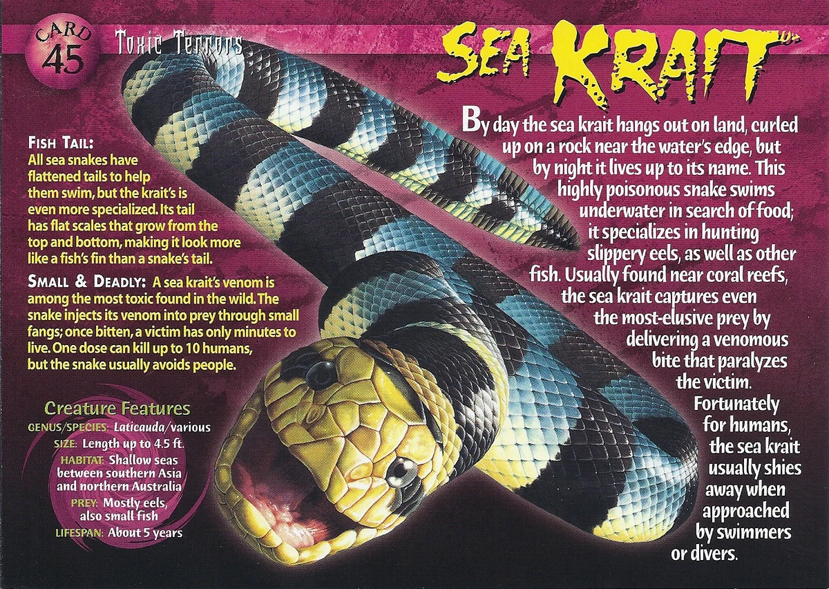 Sea Krait | Weird n' Wild Creatures Wiki | Fandom