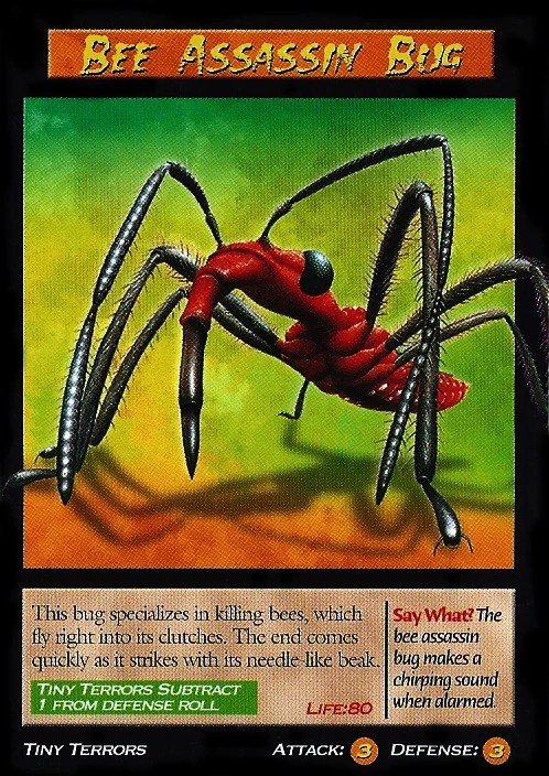 Bee Assassin Bugs | Weird n' Wild Creatures Wiki | Fandom