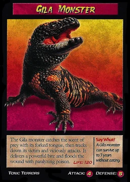 Gila Monster Attacks On Humans