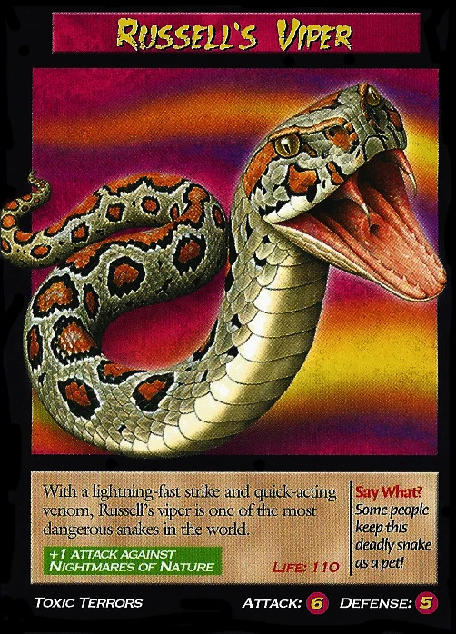 Russell's Viper | Weird n' Wild Creatures Wiki | Fandom