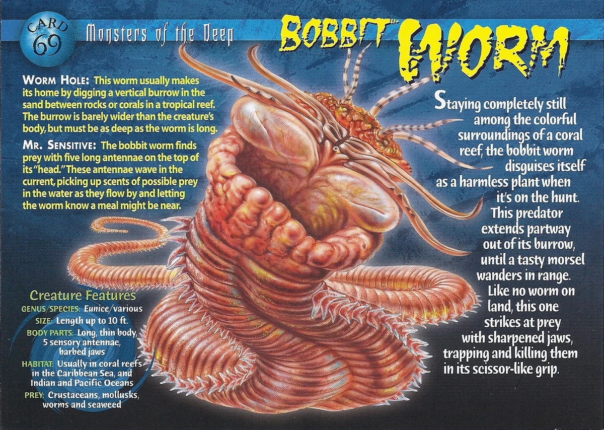 Bobbit Worm | Weird n' Wild Creatures Wiki | Fandom