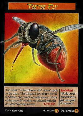 Tsetse Fly | Weird n' Wild Creatures Wiki | Fandom