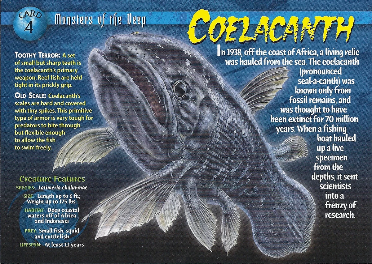Coelacanth | Weird n' Wild Creatures Wiki | Fandom