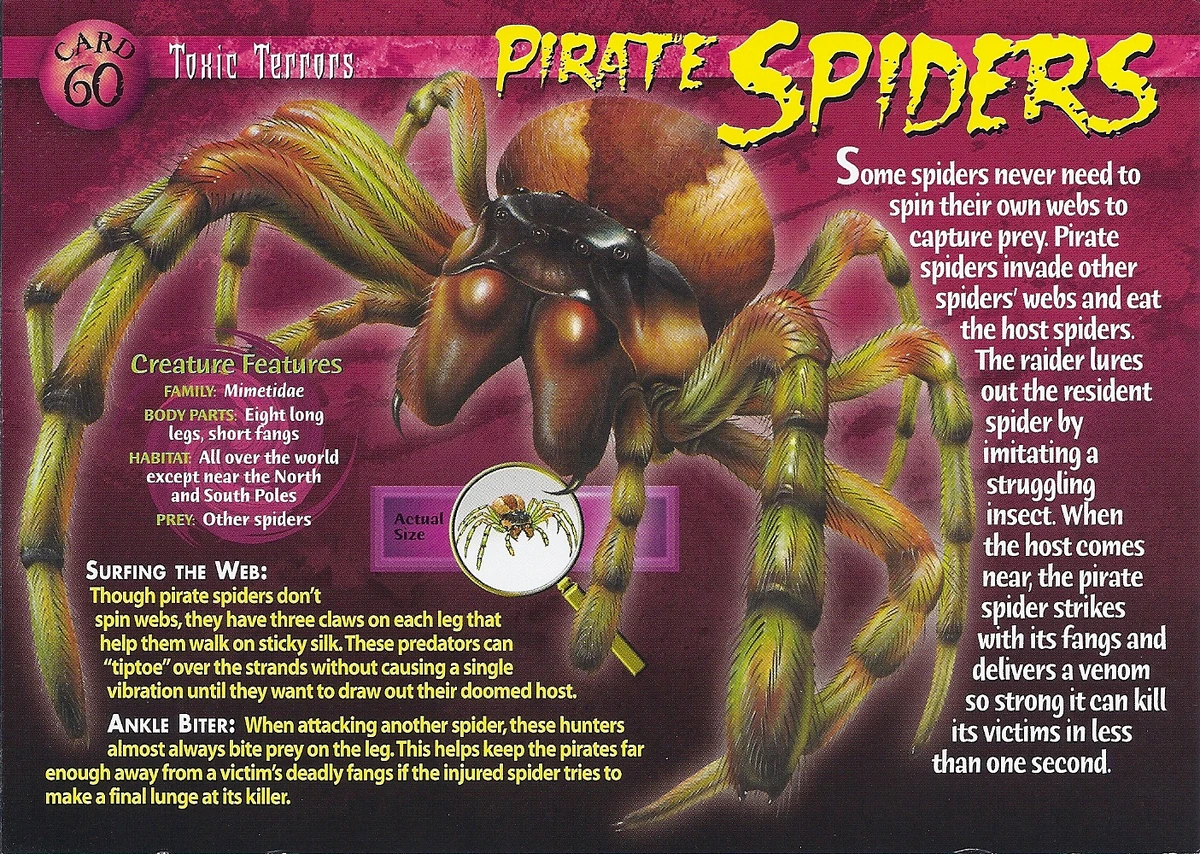 Pirate Spiders | Weird n' Wild Creatures Wiki | Fandom