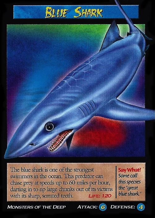 Blue Shark | Weird n' Wild Creatures Wiki | Fandom