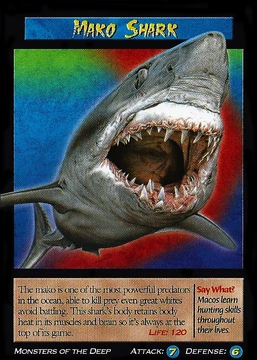 mako shark attacks