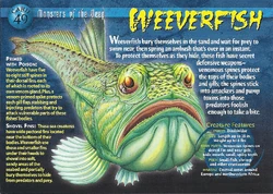 Weeverfish | Weird n' Wild Creatures Wiki | Fandom
