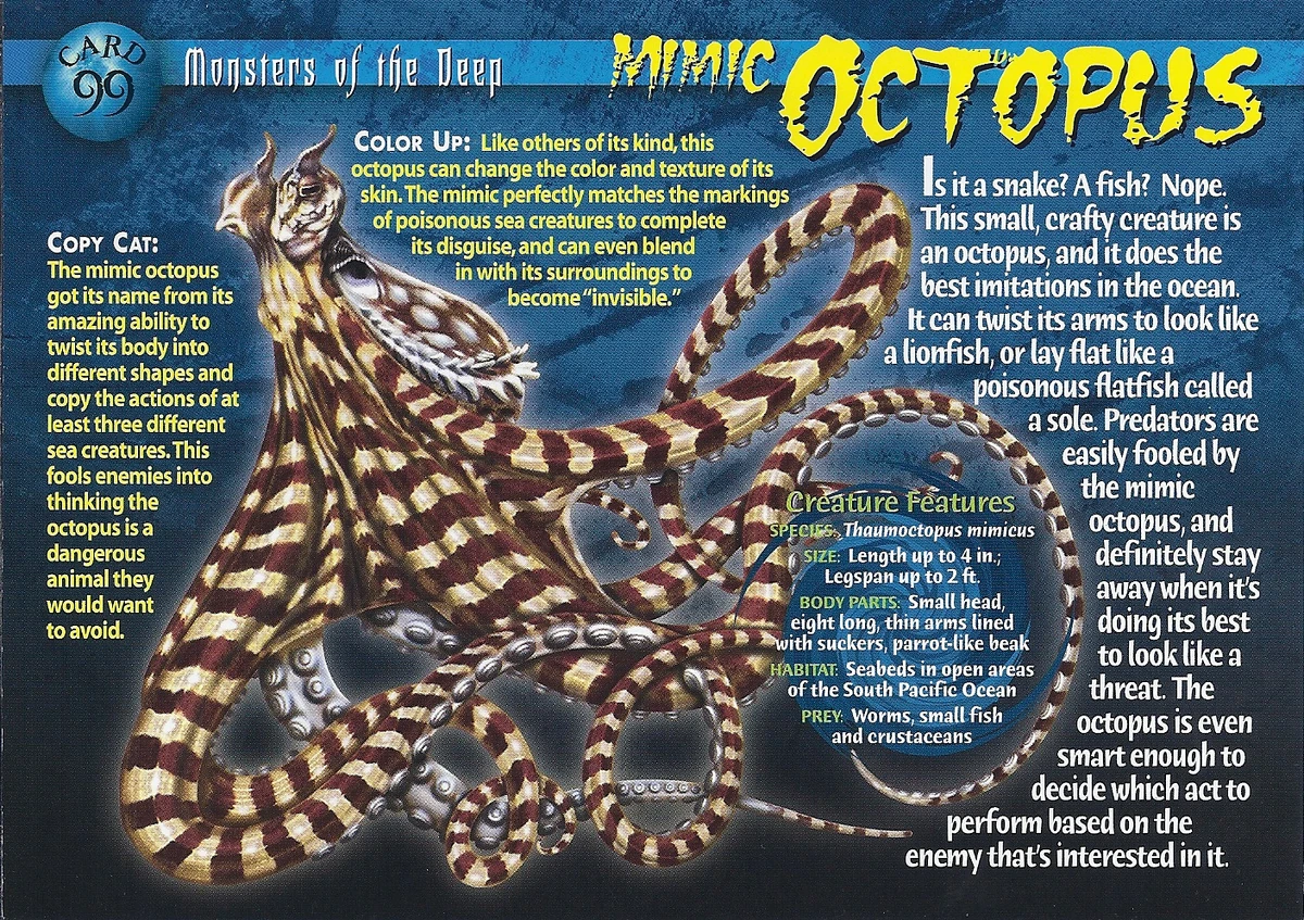 Mimic Octopus | Weird n' Wild Creatures Wiki | Fandom