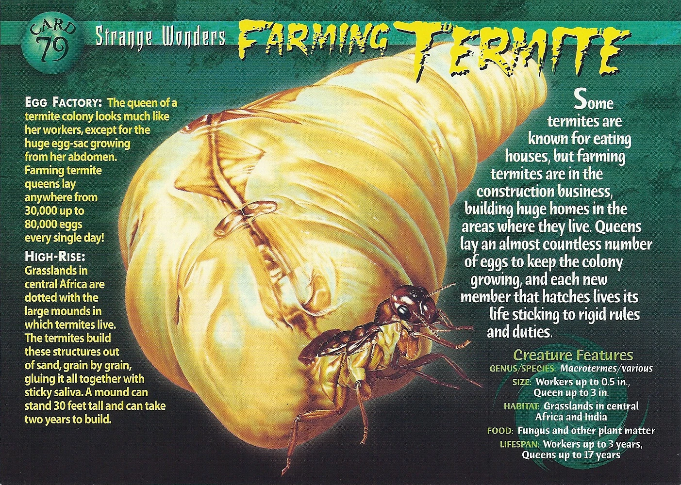 Farming Termite | Weird n' Wild Creatures Wiki | Fandom
