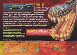 Kronosaurus | Weird n' Wild Creatures Wiki | Fandom