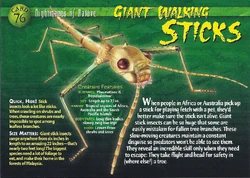 Giant Walking Stick | Weird n' Wild Creatures Wiki | Fandom