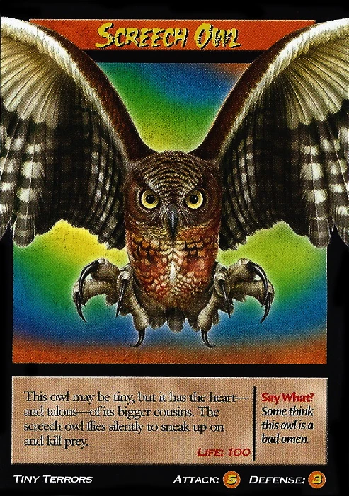 Screech Owl | Weird n' Wild Creatures Wiki | Fandom