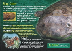 Giant Salamander | Weird n' Wild Creatures Wiki | Fandom