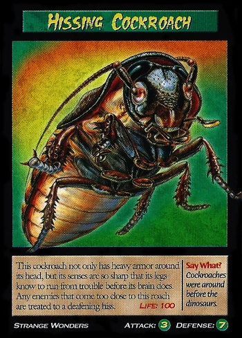 Hissing Cockroach | Weird n' Wild Creatures Wiki | Fandom