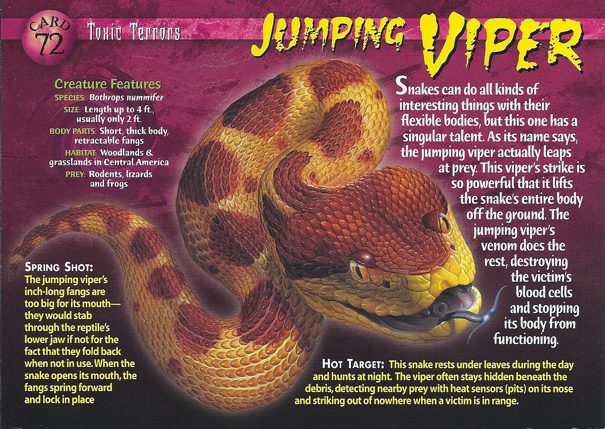 Jumping Viper | Weird n' Wild Creatures Wiki | Fandom