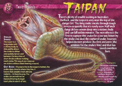Taipan | Weird n' Wild Creatures Wiki | Fandom