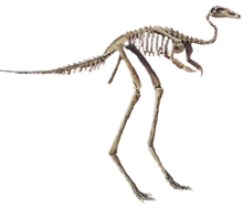 Mononykus | Weird n' Wild Creatures Wiki | Fandom